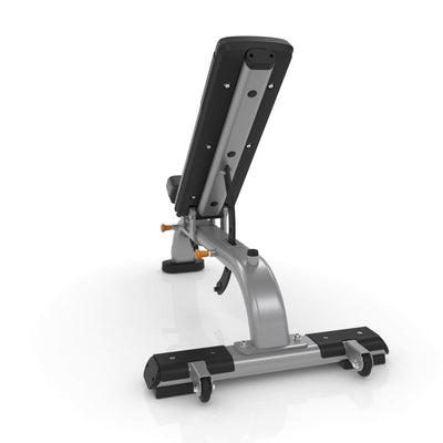Precor Discovery Series Adjustable Bench (DBR0119)