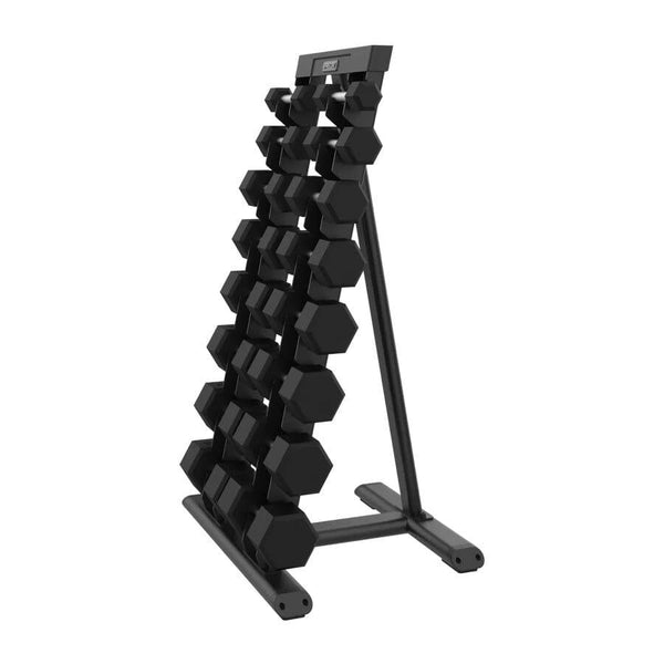 Precor Vitality Series Vertical Dumbbell Rack (VBR 6809)